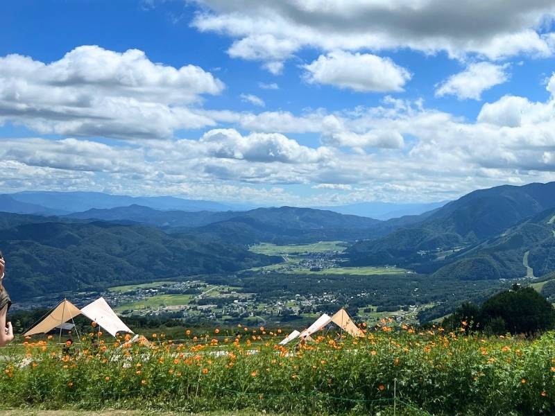 ペットと一緒に思う存分楽しめる！『白馬マウンテンリゾート』の魅力 | 4MEEE