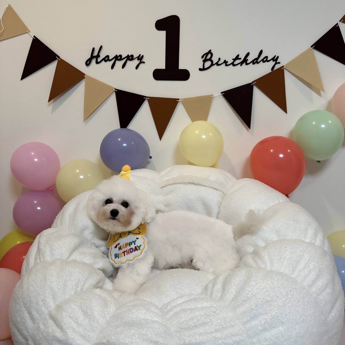 文化の秋に酔いしれる。スポットや美容情報など【個人的NEWS】#10月編 | 4MEEE